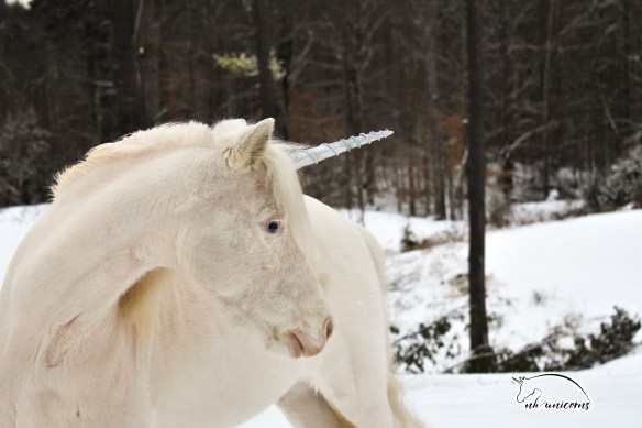 Pictures Of Real Life Unicorns 2,006 Unicorns Real Images, Stock